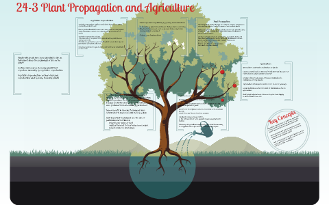 24-3 Plant Propagation and Agriculture by Biology 1 on Prezi
