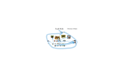 Food Web by Christian Oeltjen on Prezi