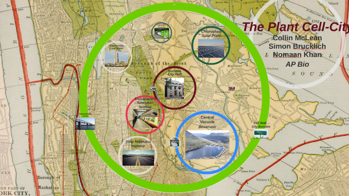 Plant Cell City by Collin McLean on Prezi