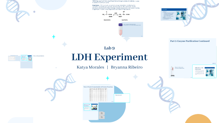 LDH Experiment - Lab 9 by Bryanna Ribeiro Mesquita on Prezi