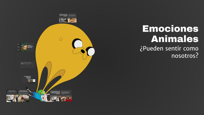 Emociones Animales by Hillary Sánchez on Prezi