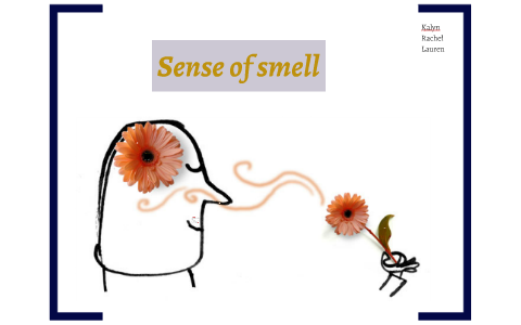 How does smell work? by kalyn york on Prezi