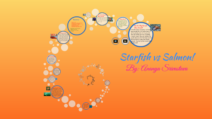 STARFISH VS SALMON PRESENTATION by Ananya S on Prezi