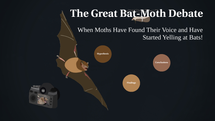The Great Moth-Bat Showdown: When Moths Have Found Their Voice and Have ...