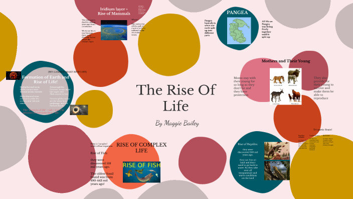 The Rise Of Life by M B on Prezi