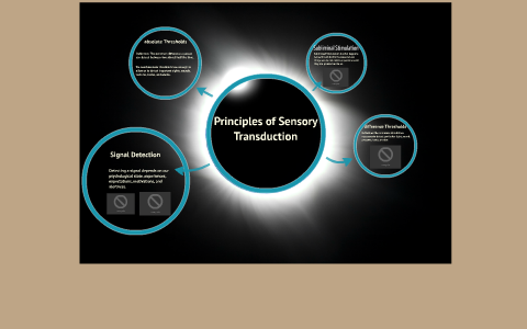 Principles of Sensory Transduction by katie Grande on Prezi