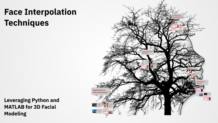 Face Interpolation Techniques by Dani farshbaf on Prezi