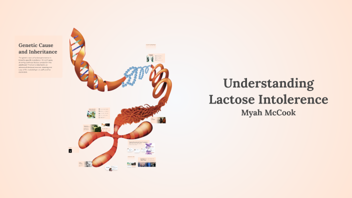 Understanding Lactase Persistence: A Genetic Perspective by myah mccook ...