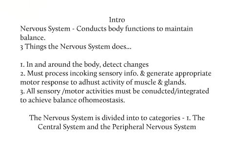 AP Psychology - Organization of the Nervous System by Ariana Sampson on ...