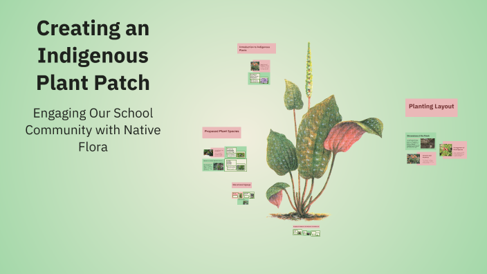 Creating an Indigenous Plant Patch by Harisanth Hutchinson on Prezi