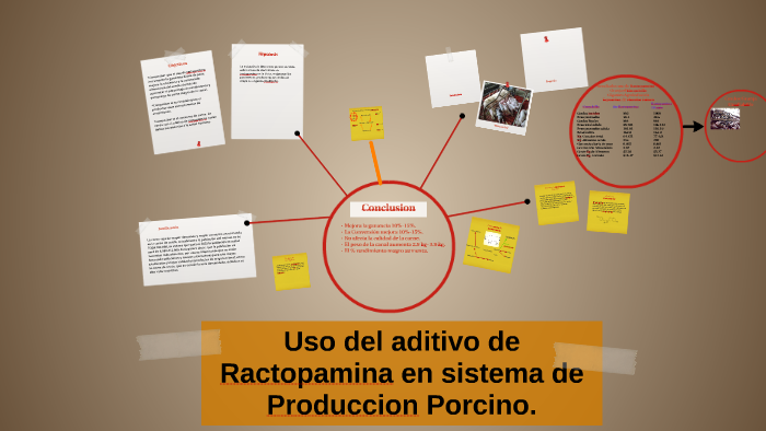 Uso de Ractopamina en sistema de Produccion Porcino. by erick jair ...