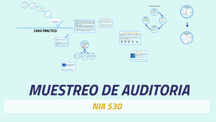 Muestreo De Auditoria Nia 530 - Riset Muestreo De Auditoria Nia 530 - Riset