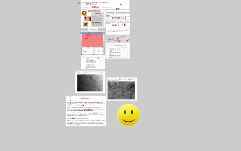 COMPARISON OF FOUR LABORATORY TECHNIQUES by monica romero camacho on Prezi