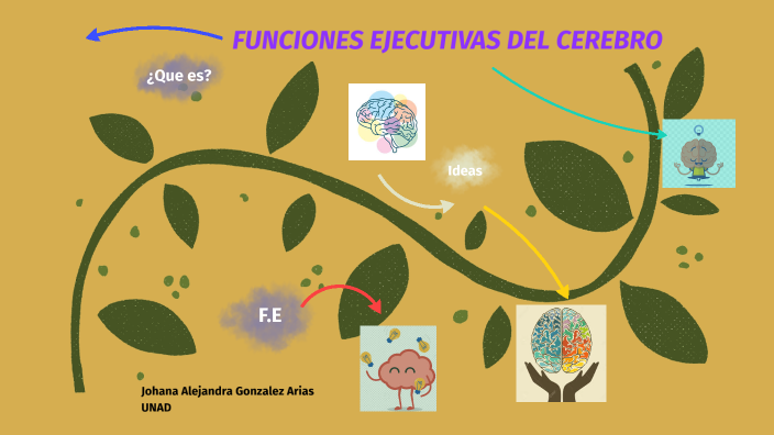 FUNCIONES EJECUTIVAS DEL CEREBRO by JOHANA ALEJANDRA GONZALEZ ARIAS on ...