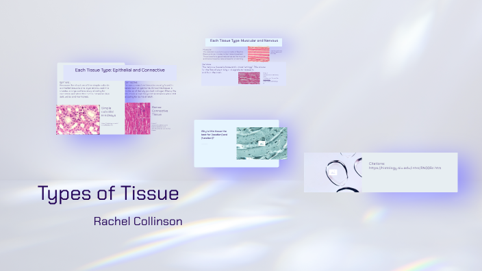 Types of Tissue by Rachel Collinson _ Student - Crossroa on Prezi