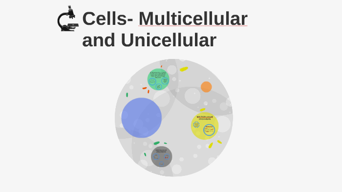 Cells- Multicellular and Unicellular by on Prezi