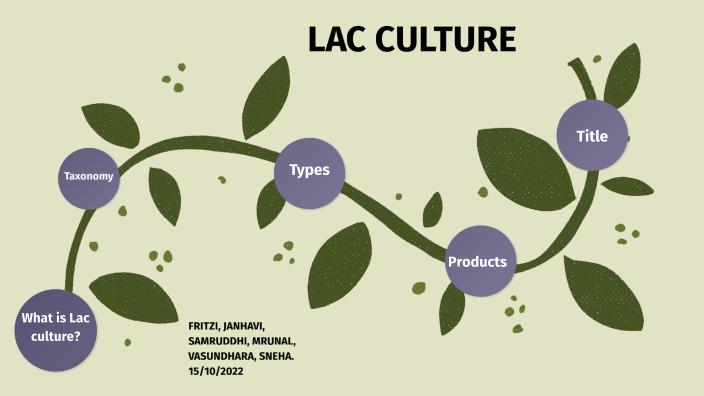 Lac culture by Anjali Giri on Prezi