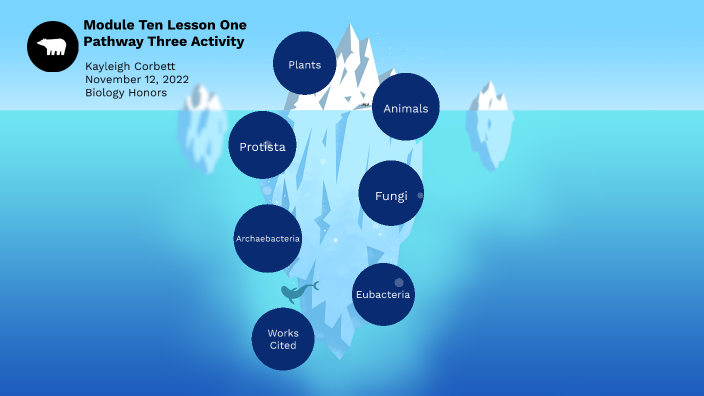 Module Ten Lesson One Pathway Three Activity by K Corbett on Prezi