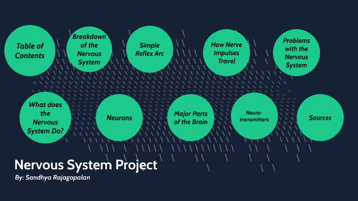 nervous system project by S R on Prezi