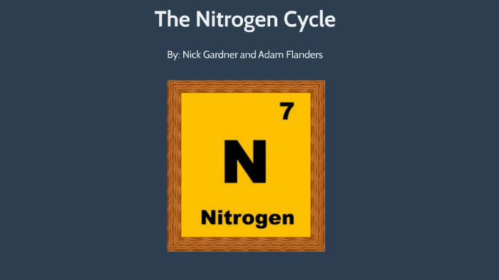The Nitrogen Cycle by Adam Flanders on Prezi