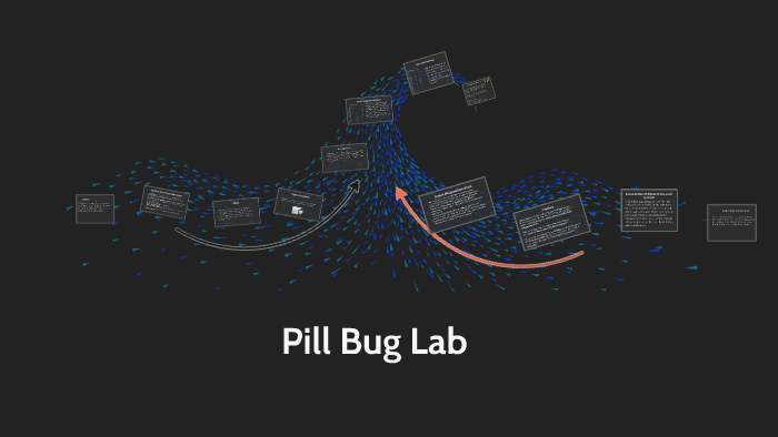 Pill Bug Lab Report by aiyanna lee on Prezi