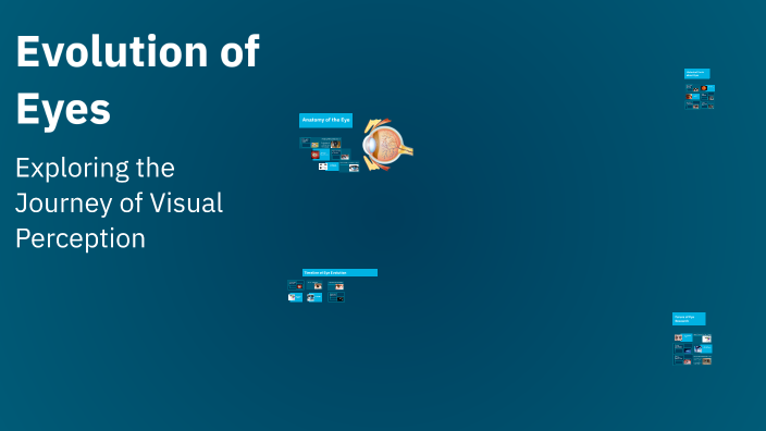 Evolution of Eyes by Julea Wong on Prezi