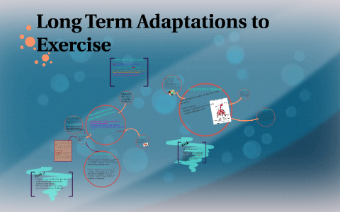 Long Term Adaptations to Exercise by Lydia Mckellar on Prezi