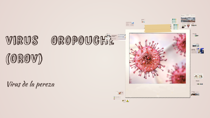 Virus Oropouche (OROV): Zoonosis Viral Emergente en Bolivia by Osmalia ...