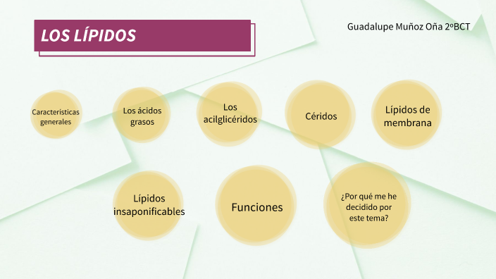 PRESENTACIÓN LOS LÍPIDOS by Guadalupe Muñoz Oña on Prezi