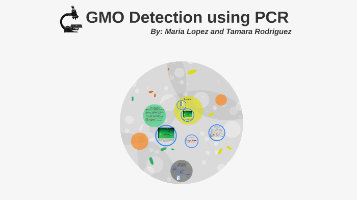 GMO Detection using PCR by Maria Lopez on Prezi