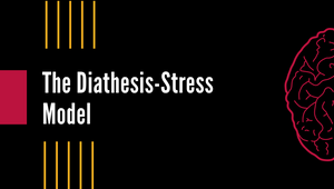 Diathesis-Stress Model by Daniel Hopla on Prezi Design