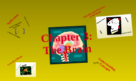 Chapter 3: The Brain by Brian Gottschalk on Prezi