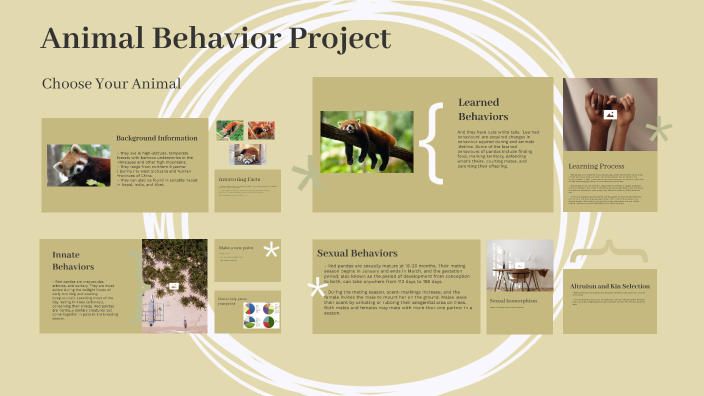Animal Behavior Project by Savannah Clark on Prezi