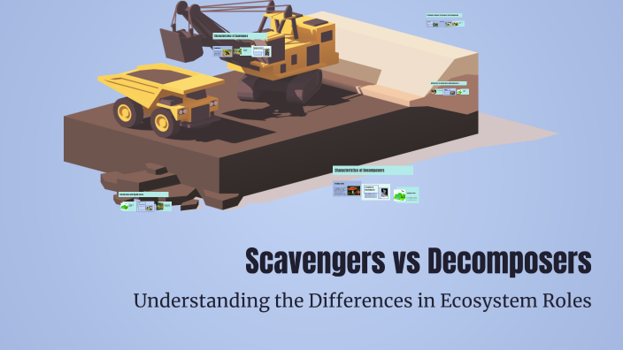 Scavengers vs Decomposers by Nathan on Prezi