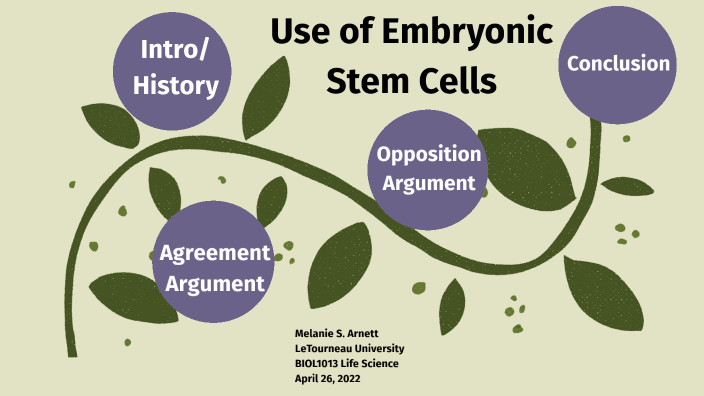 Bio Ethics - Embryonic Stem Cell by Melanie Arnett on Prezi