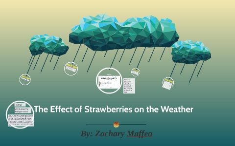 Scientific Method Mock Experiment by Zachary Maffeo on Prezi