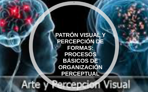 PATRÓN VISUAL Y PERCEPCIÓN DE FORMAS: PROCESOS BÁSICOS DE OR by on Prezi