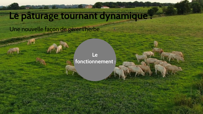 Le pâturage tournant dynamique : by MAXIME CASTERA on Prezi