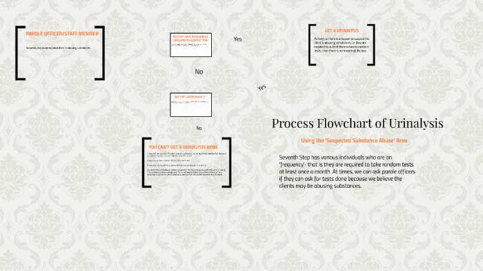 Urinalysis Flow Chart by Tori McKee on Prezi
