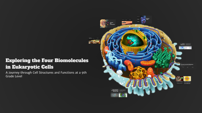 Exploring the Four Biomolecules in Eukaryotic Cells by Ruben Campos on ...