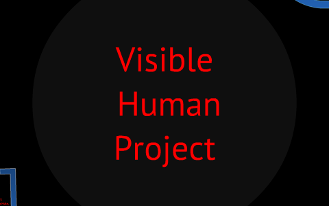 Visible Human Project by Emma Meadows on Prezi