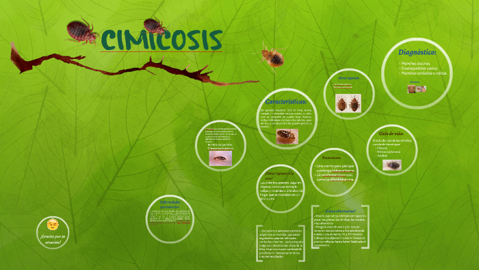 CIMICOSIS by Valeria Hurtado mendoza on Prezi
