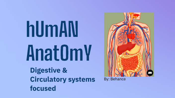 COMM120 Final Project Human Anatomy by Brandon Ramirez on Prezi