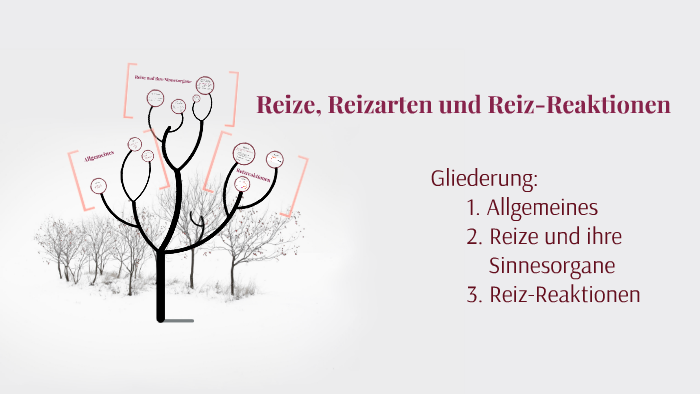 Reize, Reizarten, Reiz-Reaktionen by Soso Undsoo on Prezi