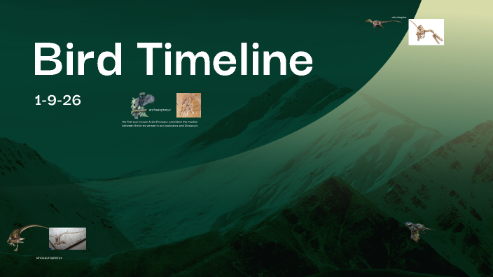 Bird Timeline by Preston Bedard on Prezi