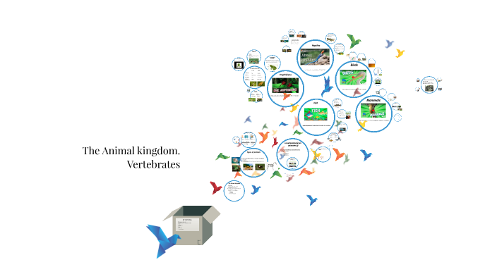The Animal Kingdom: vertebrates by on Prezi