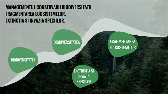 Managementul conservarii biodiversitatii. Fragmentarea ecosistemelor ...