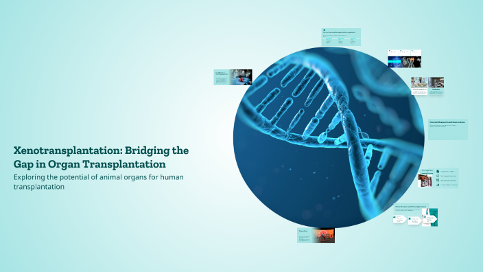 Xenotransplantation: Bridging the Gap in Organ Transplantation by Tooba ...