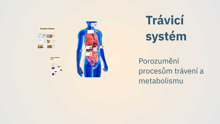 Trávicí systém by Katya Biloborodova on Prezi