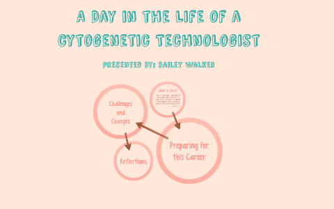 A Day in the Life of a Cytogenetic Technologist by Bailey Walker on Prezi